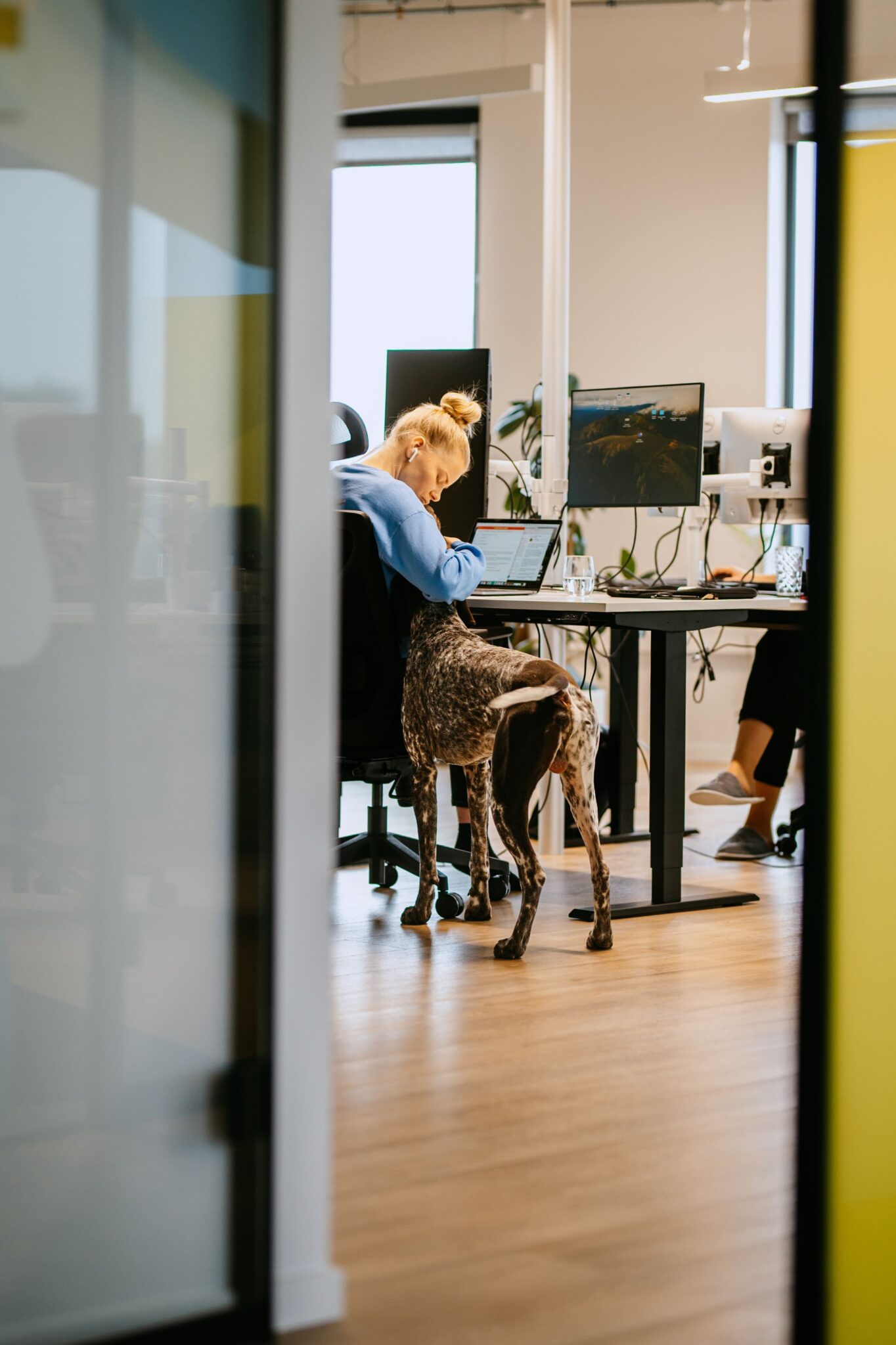 Bondora Group – Bondora Careers