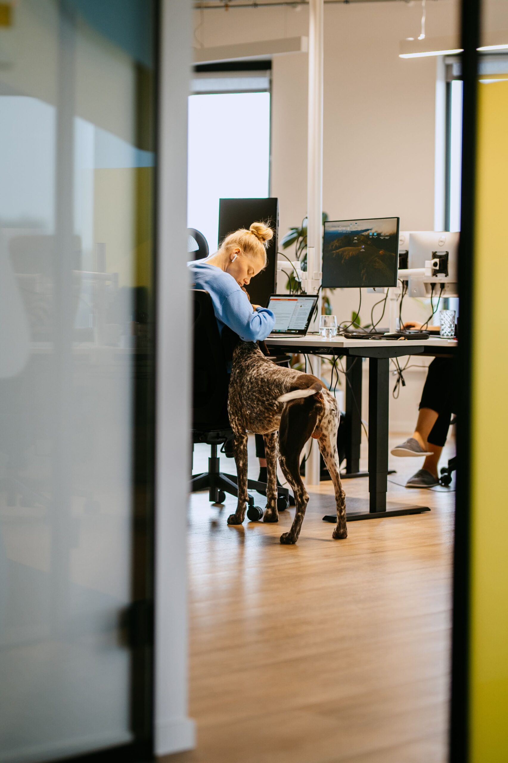 Bondora Group – Bondora Careers